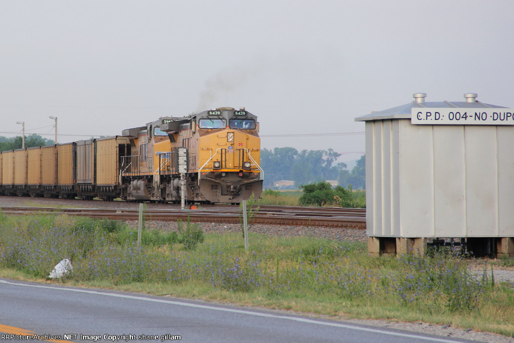 UP 6439 leads this coal out of dupo ill.